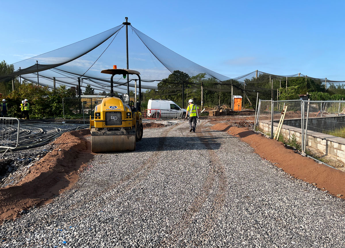 Heart Of Africa Diary - Part 2 - McPhillips